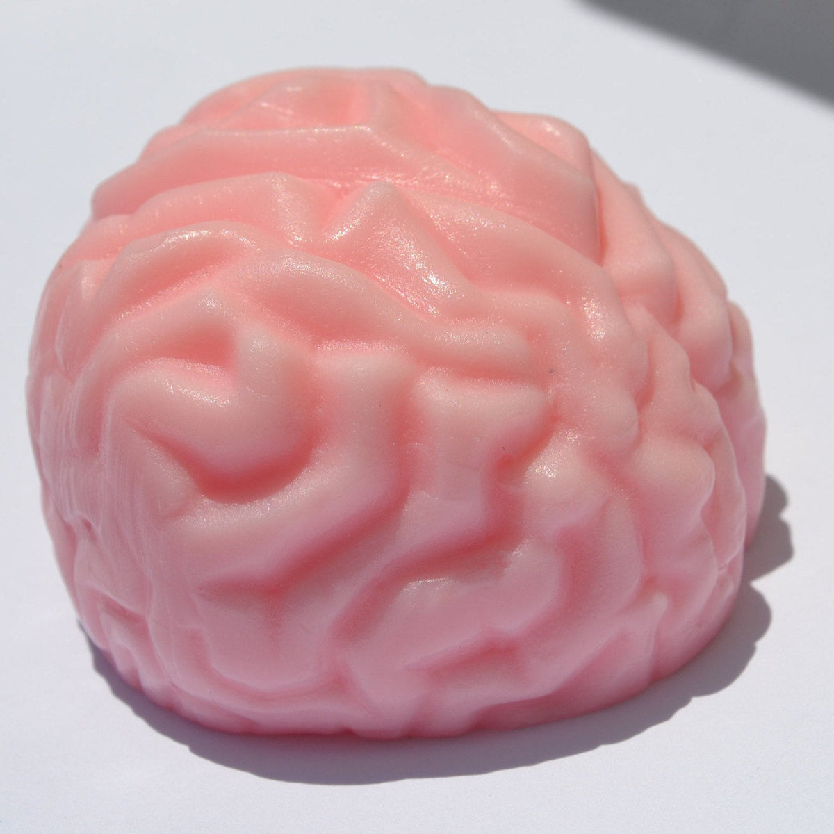 Brain Shaped Soap / Soap By Nadia